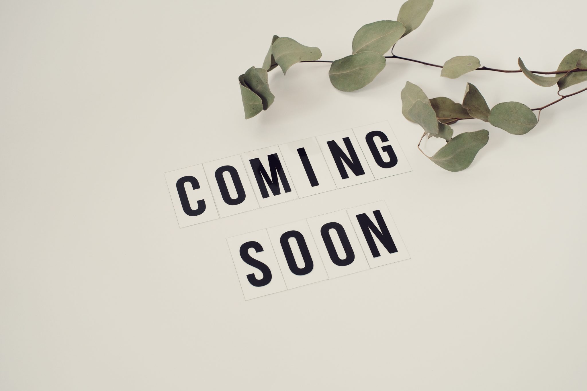 Why Does My WordPress Site Say Coming Soon? Explained. - More WordPress Why Does My WordPress Site Say Coming Soon? Explained. - More WordPress